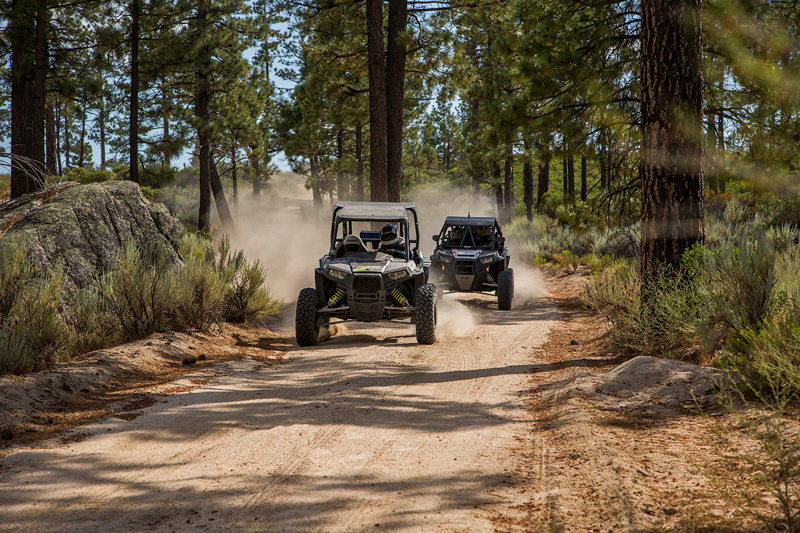 The Legends Rally Pine Forest Loop UTV Ride (Promo) | MadMedia